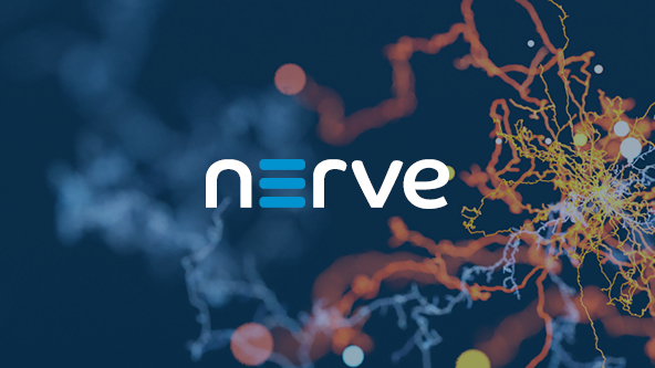 Modular offering for open and flexible edge computing - Nerve